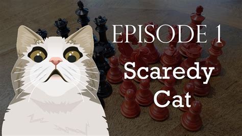 Episode 1 Scaredy Cat Elo 800 Am I Being Too Mean