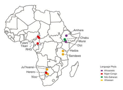 Cell 复旦大学樊少华等利用全基因组测序揭示非洲人群的复杂演化历程与对环境的适应性进化 生物科技 健康一线资讯