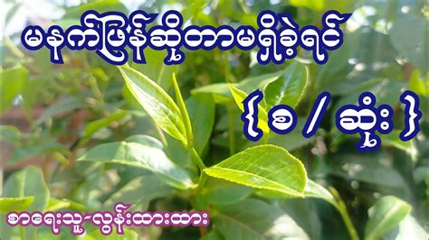 မနက်ဖြန်ဆိုတာမရှိခဲ့ရင် { စ ဆုံး } စာရေးသူ လွန်းထားထား Youtube