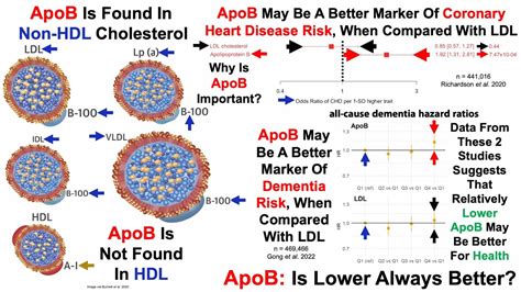 Apob Is Lower Always Better Youtube