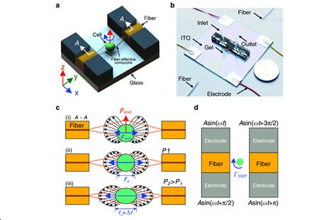 Chip Design And Working Principle A Sketch Of The Design Not To Download Scientific Diagram