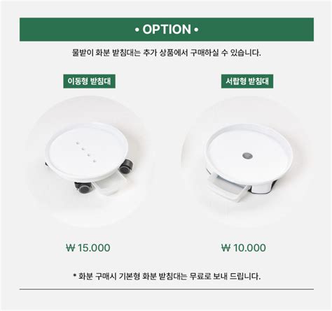 집들이 화분 플랜테리어 개업축하 선물 당일 화분 배달 당일 꽃배달 전국 당일배달