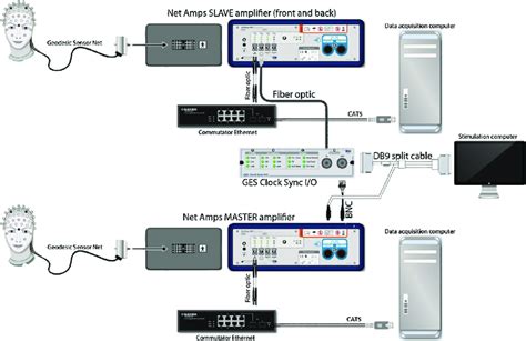 Schematic Overview Of The Eeg Hyperscanning Setup Using Egi Systems Download Scientific