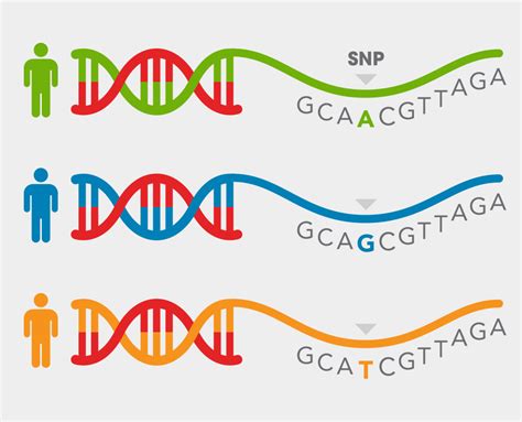 History Of Dna Testing Dna Diagnostics Center