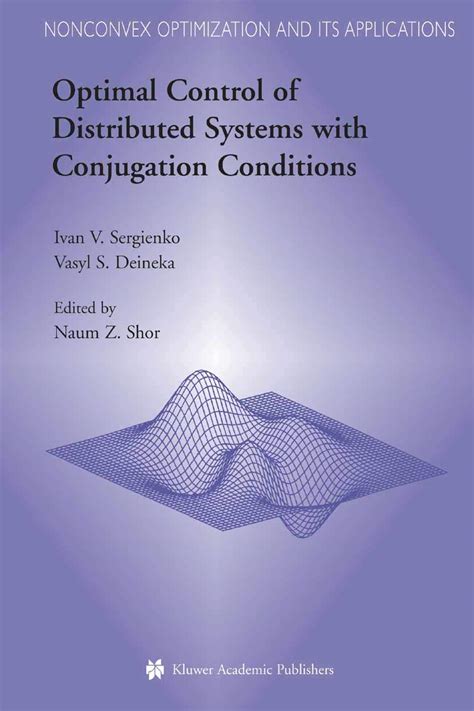 optimal control of distributed systems with conjugation conditions