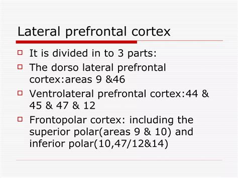 Anatomy And Connections Of Prefrontal Cortex Ppt