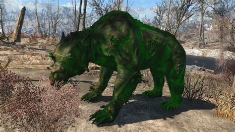 Fallout 76 Yao Guai Locations Variants And More