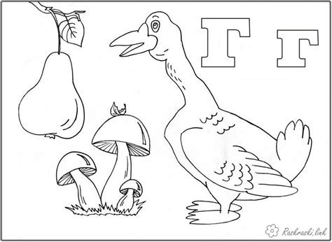 алфавит Раскраски распечатать бесплатно