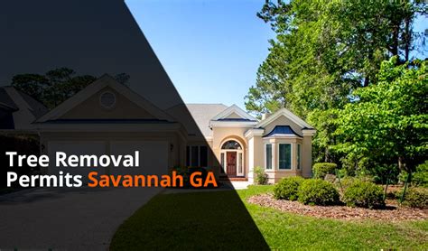 Tree Removal Laws Permit Savannah GA Quick Summary