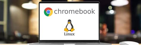 [solved] Help With Installing Linux On Chromebook