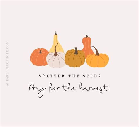 Pin By Debbie Yount On Fallautumn Cheer And Quotes Encouragement