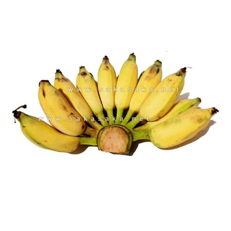 Frozen Banana Cooked Food Supplier