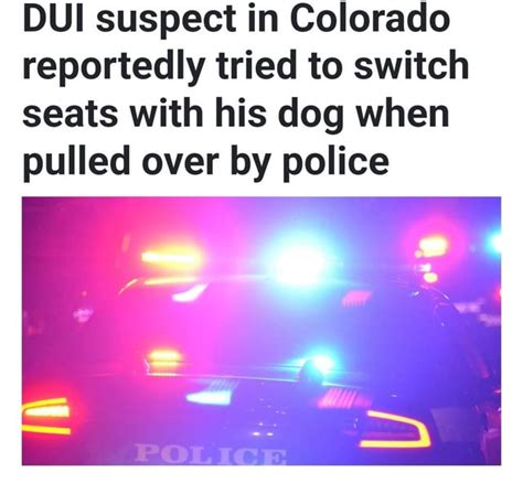 The Monkey Looked Disgusted They Prefer Fruit Not Fried Chicken R