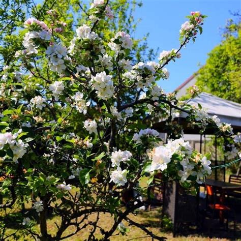 꽃보다 파리 오페라 파이버 가이즈 햄버거 꽃보다파리파리파리여행프랑스프랑스여행파리한인민박파리한인민박추천배낭여행유럽여행 파리숙소파리게스트하우스파리민박