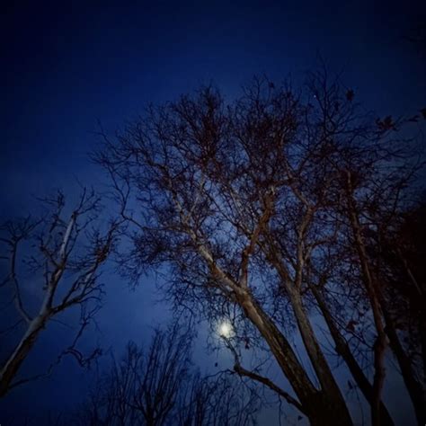 Stream Amira Elfeky Listen To Skin To Skin Playlist Online For Free On Soundcloud