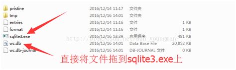Svn Cleanup Failed To Process The Following Pathscleanup Failed To Process The Following Paths
