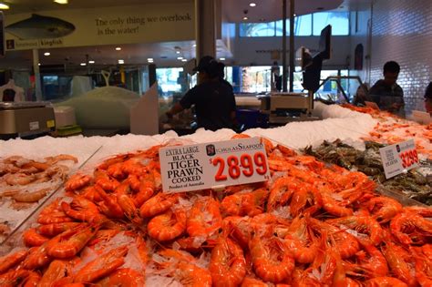 O Que Fazer Em Sydney Dicas Para Curtir A Maior Cidade Da Austr Lia