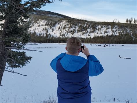 Twelve Makes A Dozen Traveling Together Yellowstone In Winter