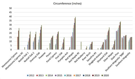 Growth Rates Of Southern Native Trees Southern Native Trees