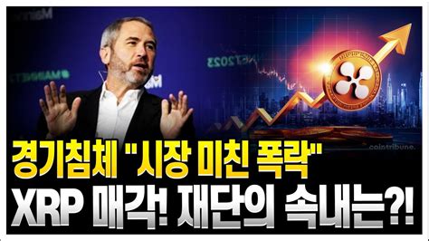 리플 분석 경기침체와 더불어 시장 미친 폭락 8월 5억 Xrp 매각 리플 재단의 속내 공개합니다 리플 리플코인 리플전망 리플관련주 리플속보 Youtube