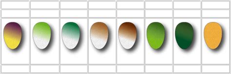 How To Read Hair Color Numbers And Letters 2020 Ultimate Guide Hair
