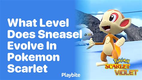 What Level Does Sneasel Evolve In Pokemon Scarlet Playbite