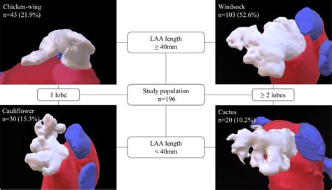 Frontiers Left Atrial Appendage Volume Is An Independent Predictor Of