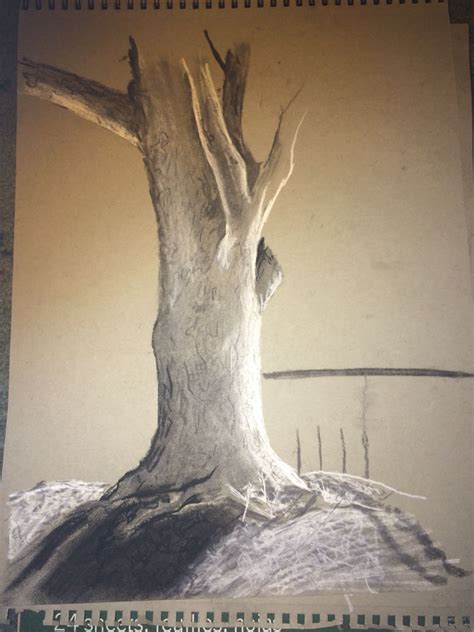 Charcoal Tree Drawing Tree Drawing Tree Painting Drawings