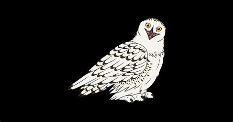 Orly Owl Owl Sticker Teepublic