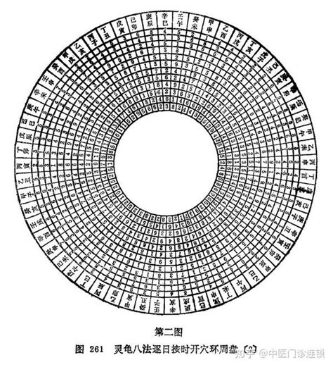 中医神针灵龟八法 知乎