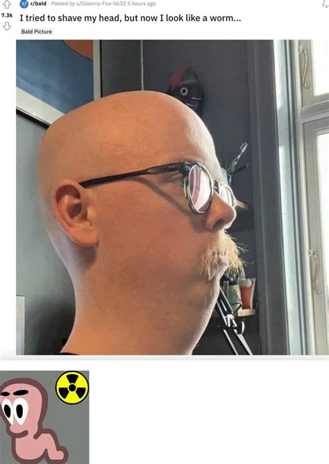 웜즈 실사화 유머 움짤 이슈 에펨코리아