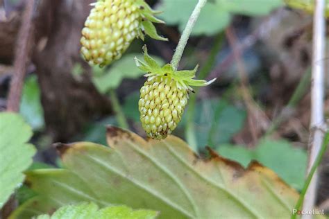 Google Pixel 2 Review Still A Good Buy