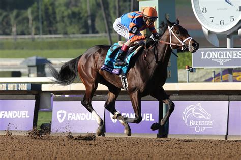 Future Wager Pool 3 Recap News Kentucky Derby