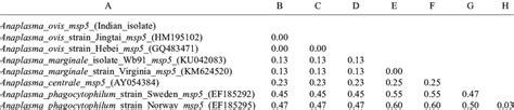 Sequence Pair Wise Distances Of Msp5 Gene Nucleotide Sequencefig 2 Download Scientific