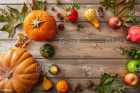 추수 감사절 플랫 다채로운 호박 과일 및가 단풍 소박한 나무 배경 복사 공간에 누워 0명에 대한 스톡 사진 및 기타 이미지 0명 11월 가을 Istock