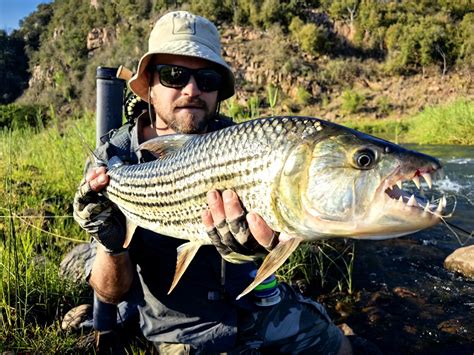 Tigerfish Archives The Mission Fly Fishing Magazine