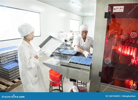 Aseptic Workshop Pharmaceutical Packaging Assembly Line Editorial Image