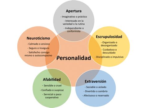 Introvertido 33 Fotos ¿qué Tipo De Persona Es Qué Significa