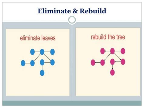 Isomorphism Graph Pptx Science