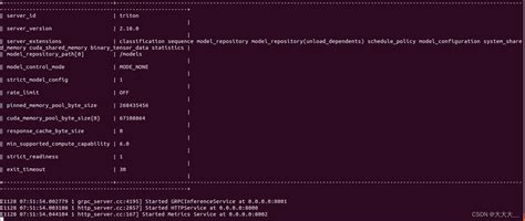Triton Inference Server 环境配置 trition server 容器与驱动和系统版本有关 CSDN博客