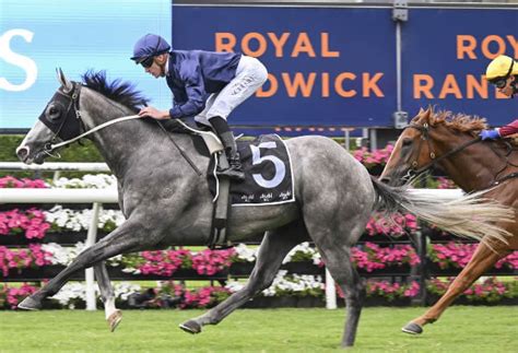 Public Attention Sold To Hong Kong Breednet