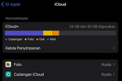 cara hapus aplikasi di iphone homecare24