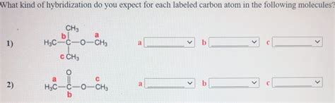 Solved What Kind Of Hybridization Do You Expect For Each