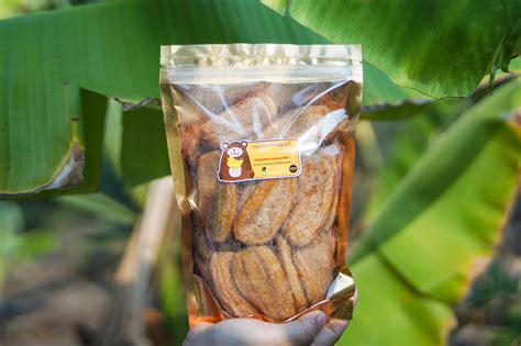 กล้วยตากพลังงานแสงอ กล้วยตากพลังงานแสงอาทิตย์ สวนกำนันพล