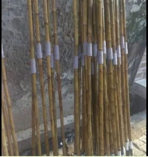 Bamboo Wooden Javelin Stick Size 8 Feet At ₹ 150piece In Meerut Id 2855511696248