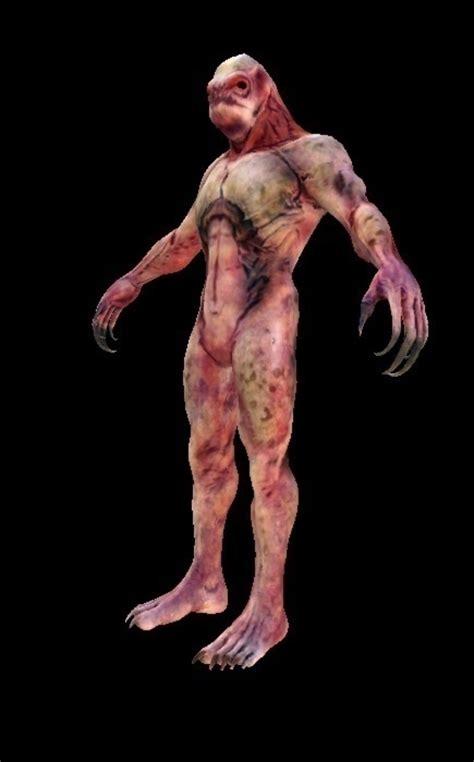 Mutant Human Pinshape