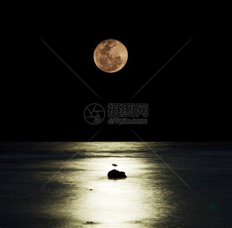 月光高清图片下载 正版图片502891164 摄图网