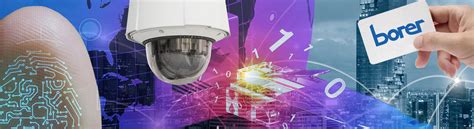 Borer Data Systems Ltd