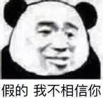 假的 我不相信你熊猫头表情包图片gif动图 求表情网 斗图从此不求人