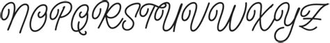 Midgrow Script Script Otf 400 Font Script Elegant What Font Is